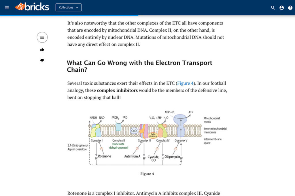 Med School Syllabus | Rx Bricks | USMLE-Rx