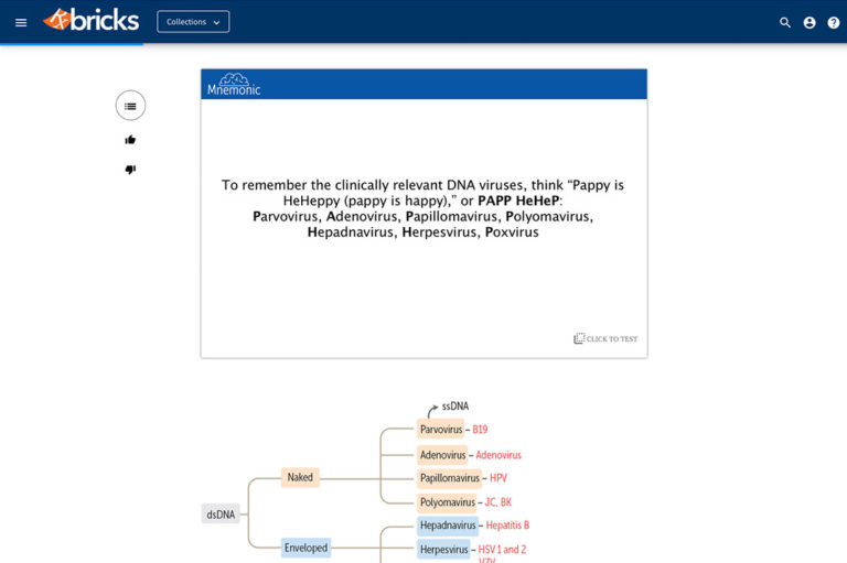 Med School Syllabus | Rx Bricks | USMLE-Rx