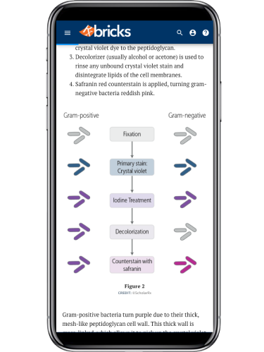 USMLE Biochemistry Questions | Free Biochem Course | USMLE-Rx
