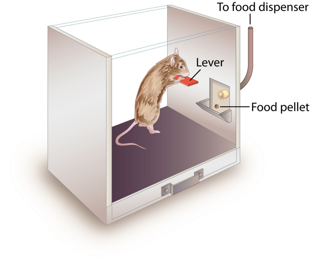 The Rx Bricks Podcast Archives | USMLE-Rx